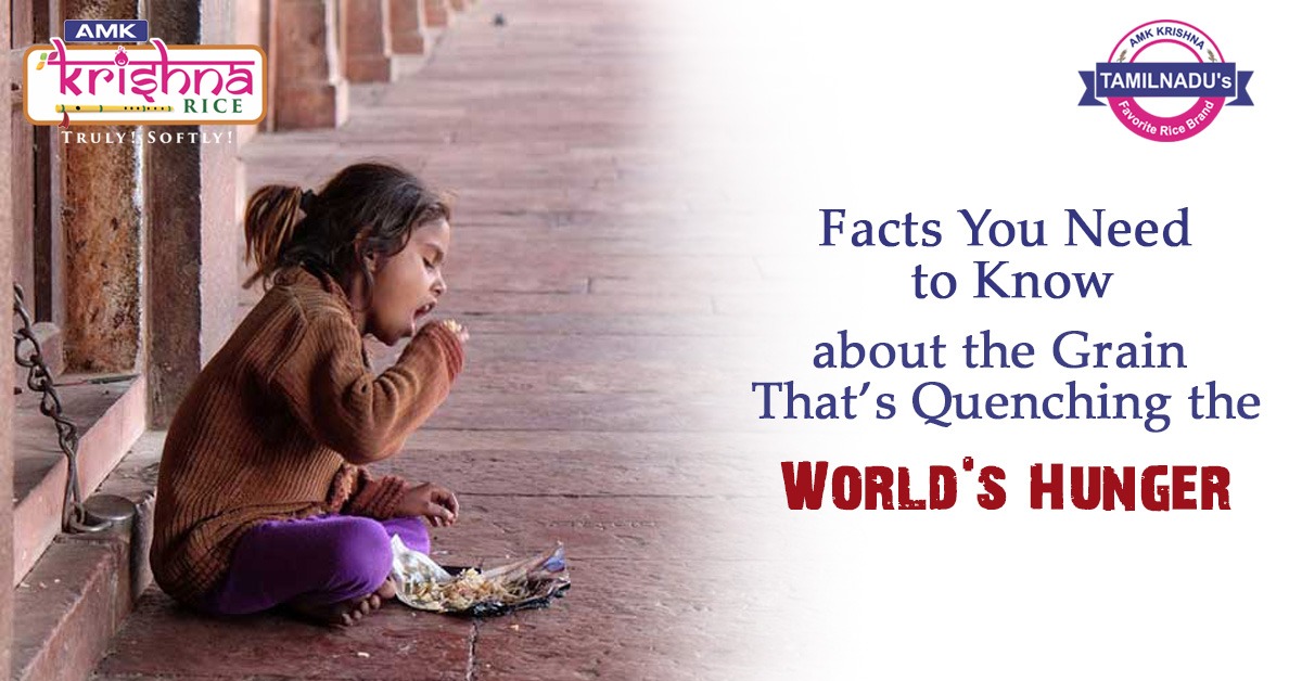 Facts You Need to Know about the Grain